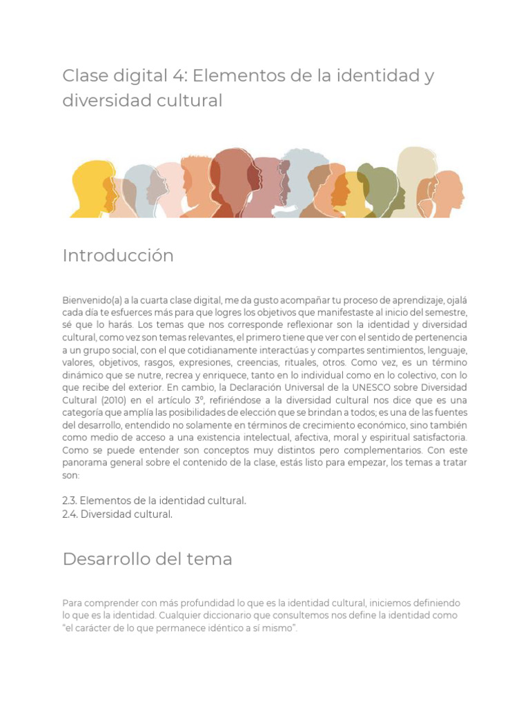 Identidad y Diversidad Cultural | PDF | Sociedad | Etnicidad