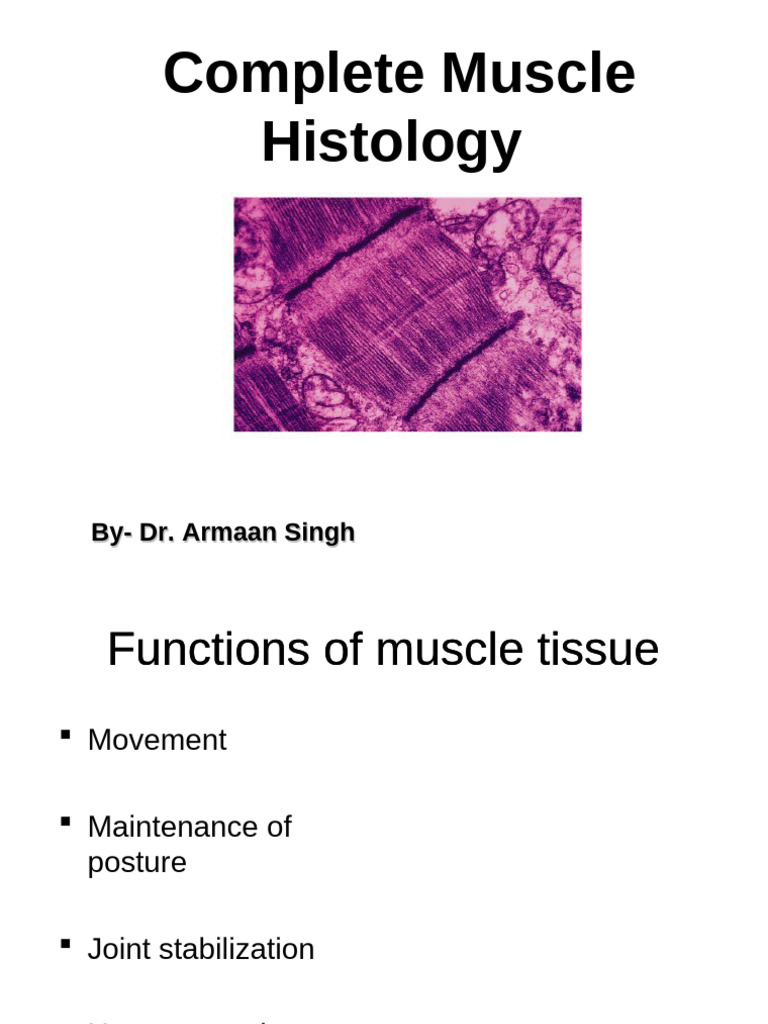 Muscle Tissue Histology Overview | PDF | Skeletal Muscle | Muscle