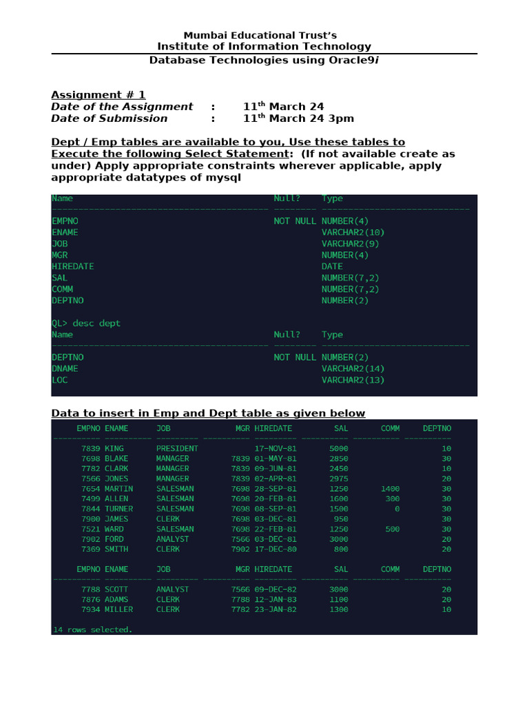 Dbt Assignment1 | PDF | Information Technology | Information Technology Management