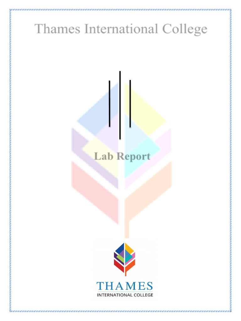 C Programming Lab Report | PDF | Computer Science | Software Engineering