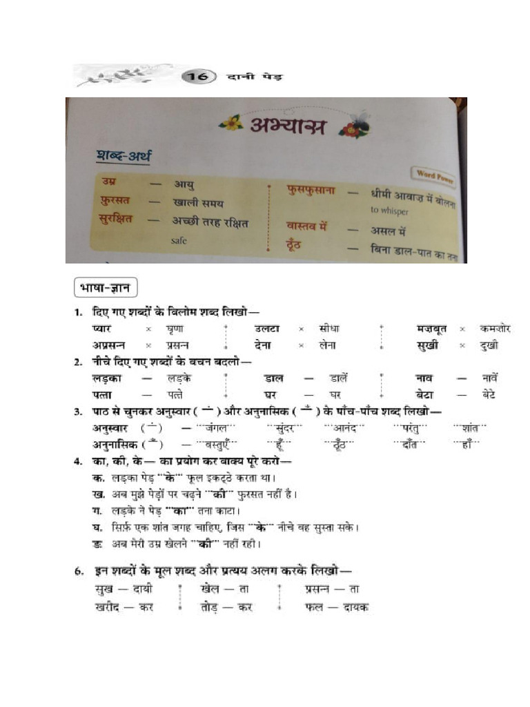 Class 5 Lesson 16 | PDF