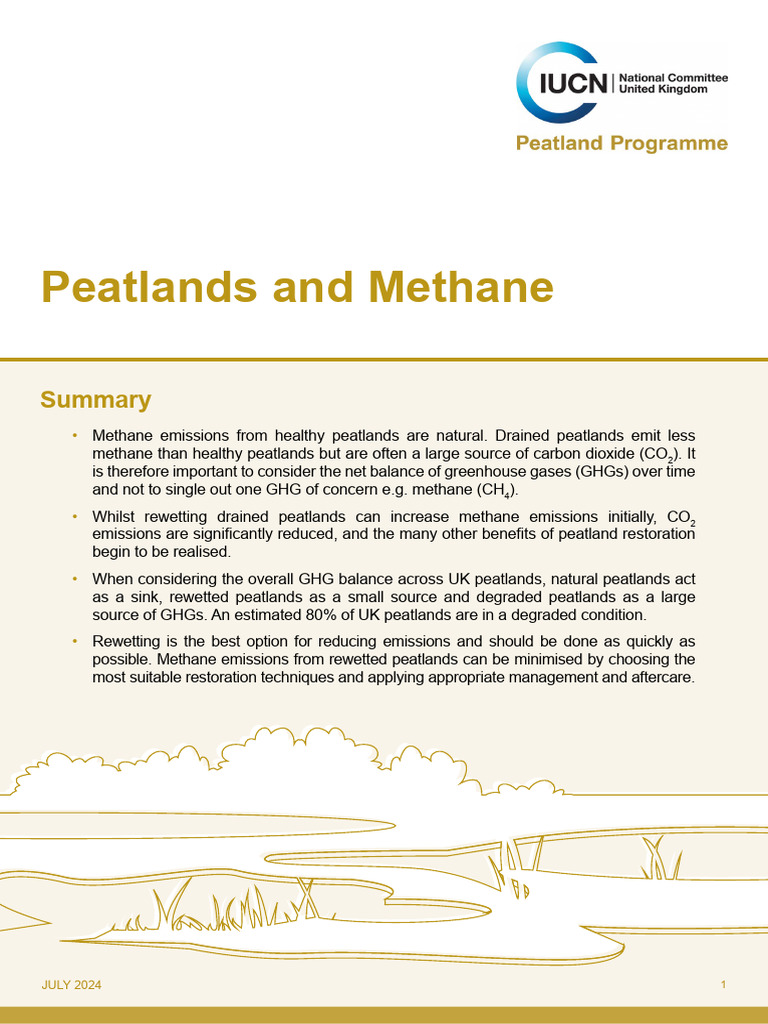 202407_Briefing Doc - Peatlands and Methane_03 | PDF | Greenhouse Gas ...
