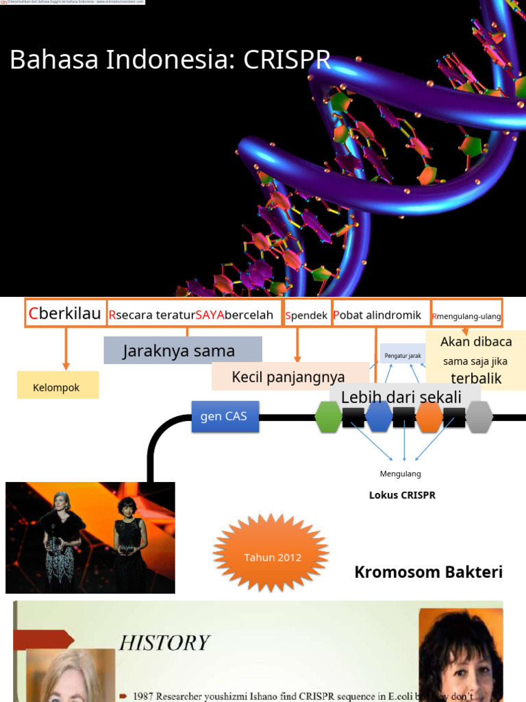 CRISPR - En.id | PDF
