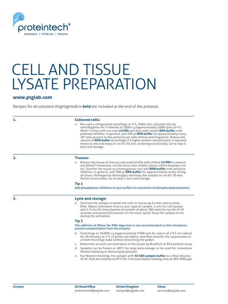 Cell and Tissue Lysate Preparation Guide | PDF | Lysis | Biochemistry