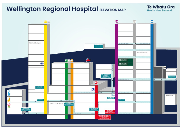 Wellington Hospital Guide | PDF | Hospital | Medicine