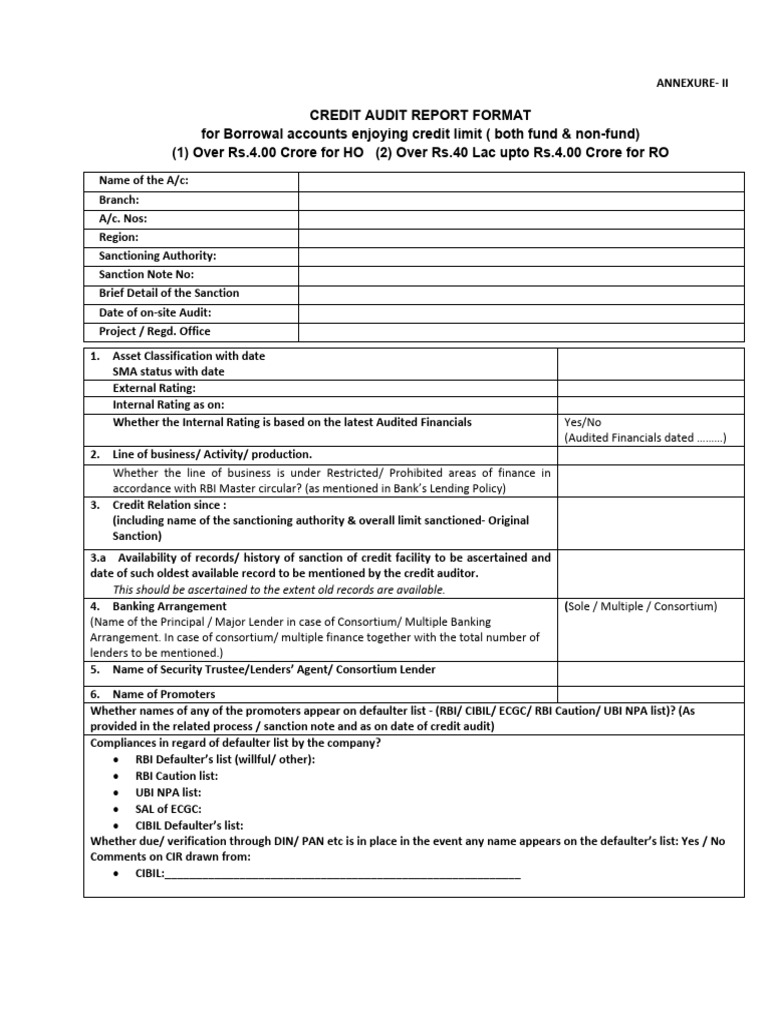 Credit Audit Report Format for Banks | PDF | Banks | Debt