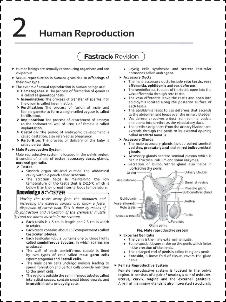 human reproduction | PDF