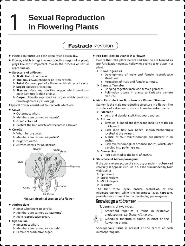 reproduction in plants | PDF
