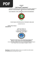 Project Completion Report (Template) | PDF