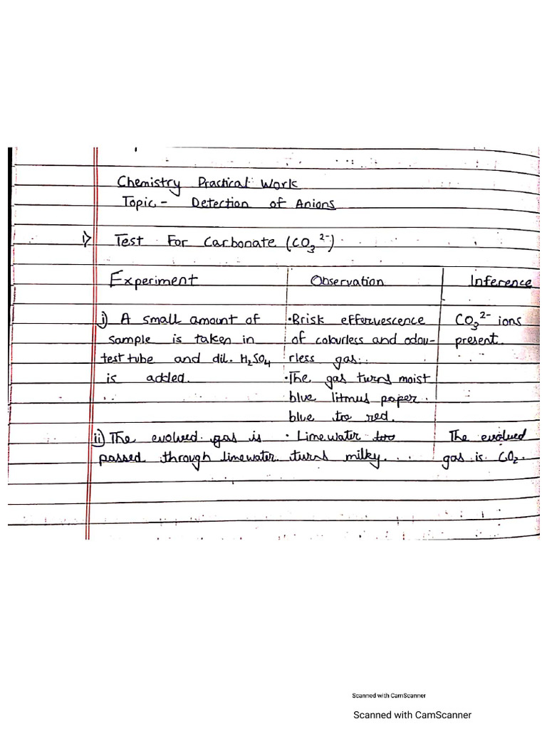 Chemistry Project Detection of Anions and Detection of Cations | PDF