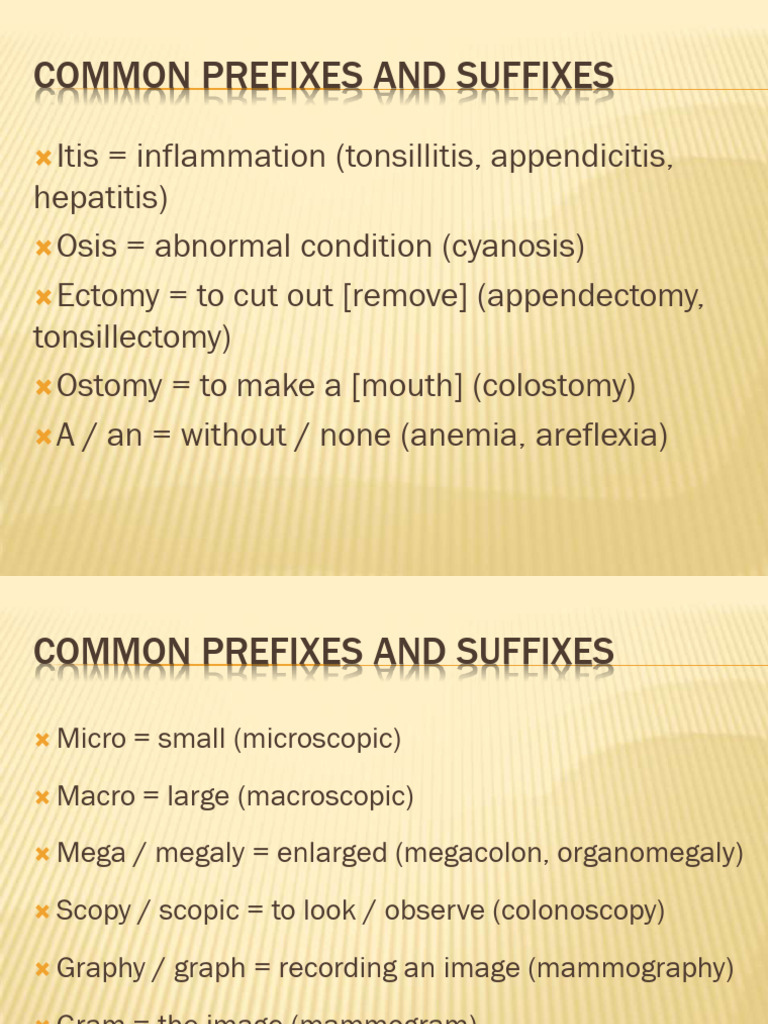18552 | PDF | Lymphatic System | Vertebral Column
