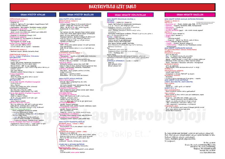 Bakteriyoloji Özet Tablo | PDF