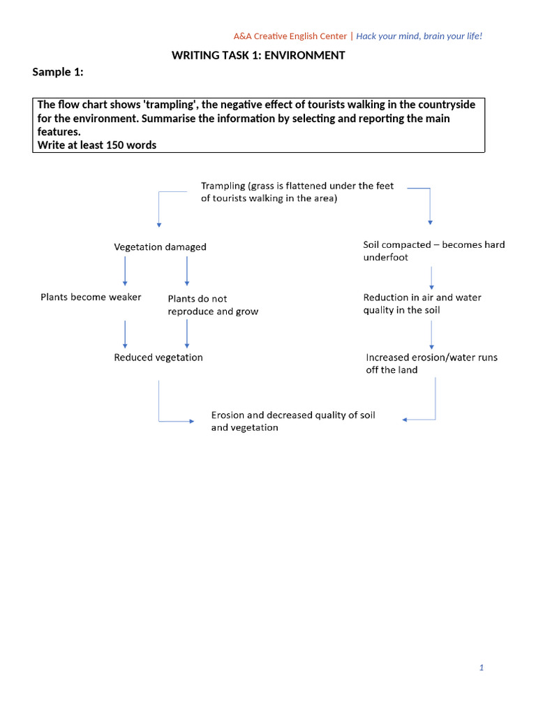 Environmental Writing Tasks | PDF