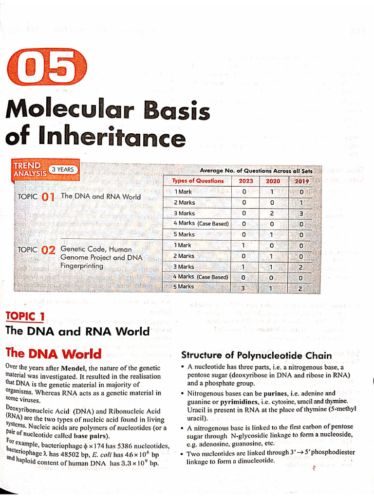 B) Molecular Basis of Inheritance | PDF