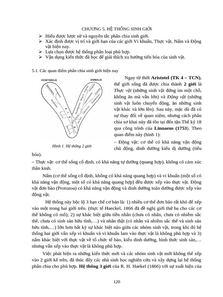 He Thong Sinh Gioi - Rut Gon | PDF