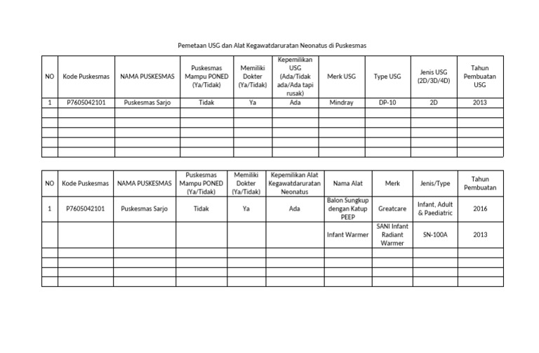 Pemetaan USG Dan Alat Kegawatdaruratan Neonatus Di Puskesmas | PDF