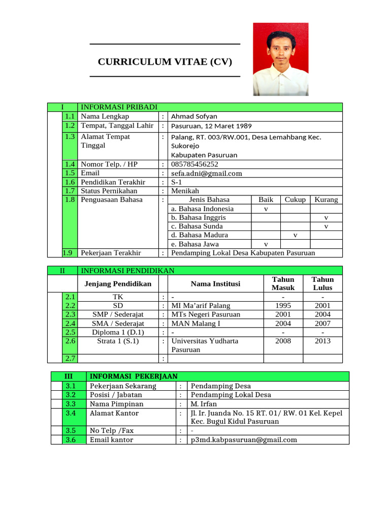 Curriculum Vitae (CV) | PDF