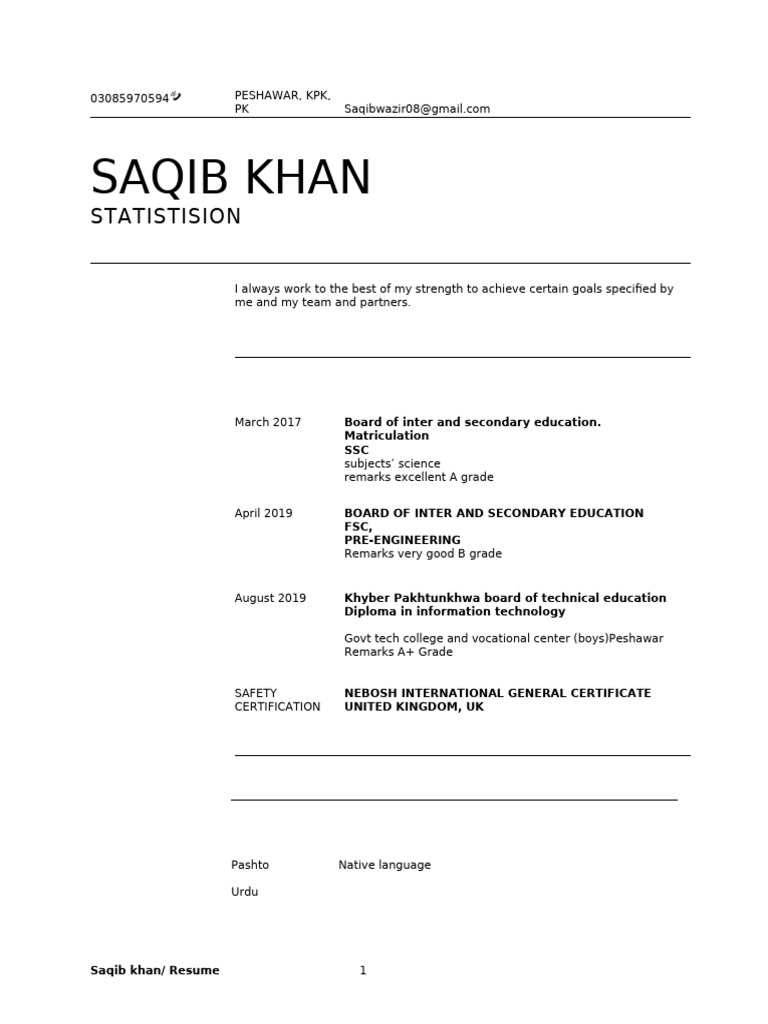 SAQIB CV | PDF