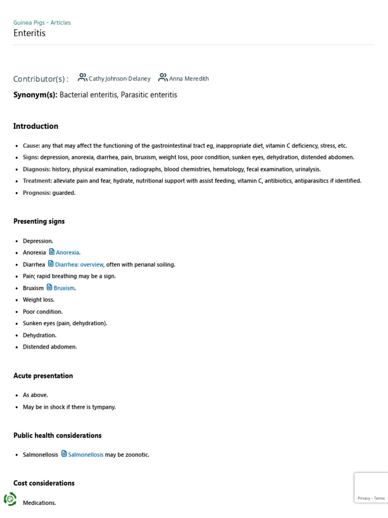 Enteritis in Guinea Pigs - Vetlexicon | PDF | Gastrointestinal Tract ...