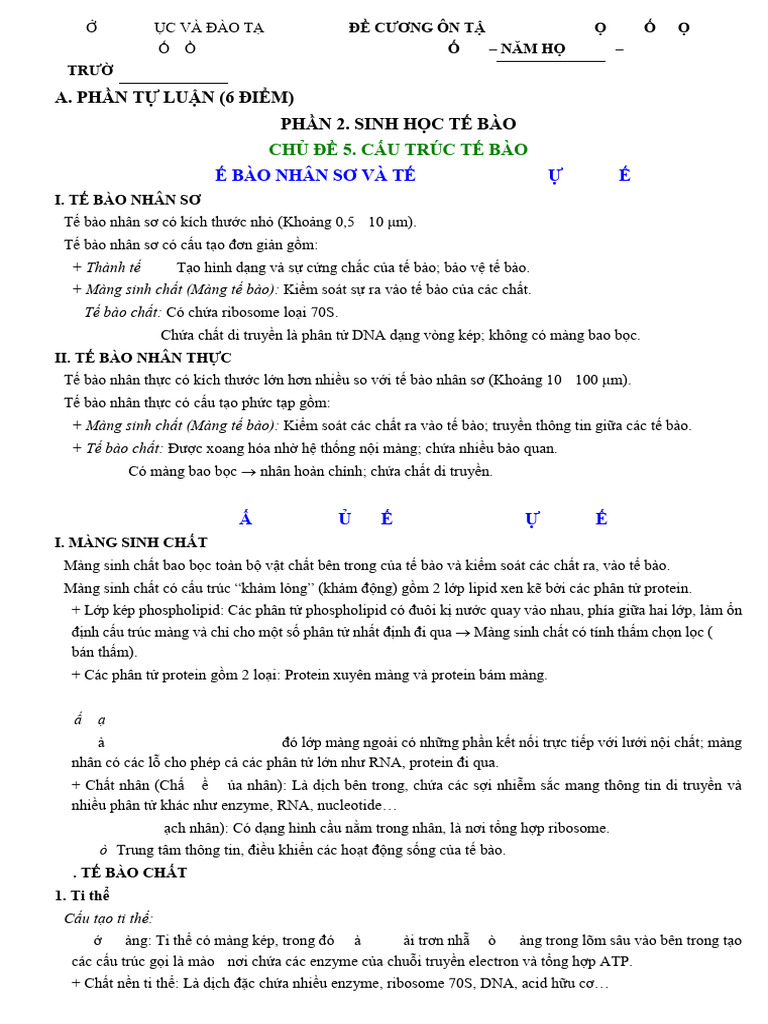 Sinh 10 DC On Tap hk1 Hs 2023 2024 - 1112202321 | PDF