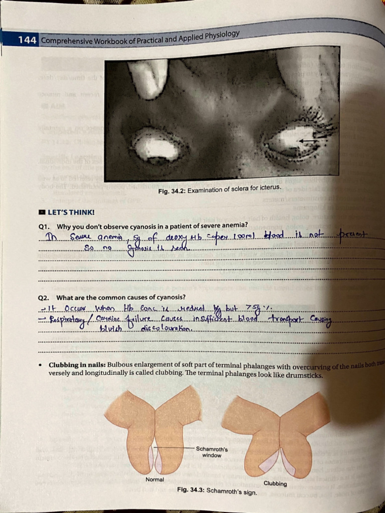 Physio Practical | PDF