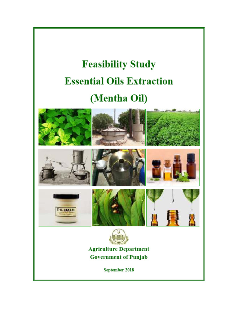 Essential Oils Extraction | PDF | Mentha | Essential Oil