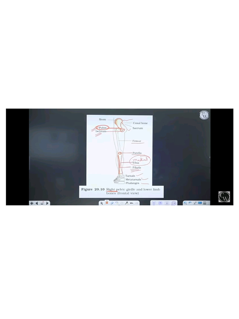 Atb | PDF