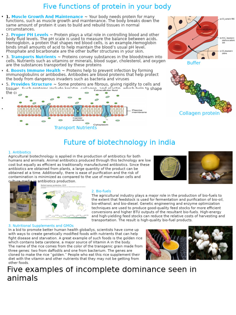 zoo cs 2 assgm | PDF | Proteins | Blood