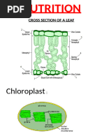 IGCSE Biology: Respiration Overview | PDF | Respiratory System ...
