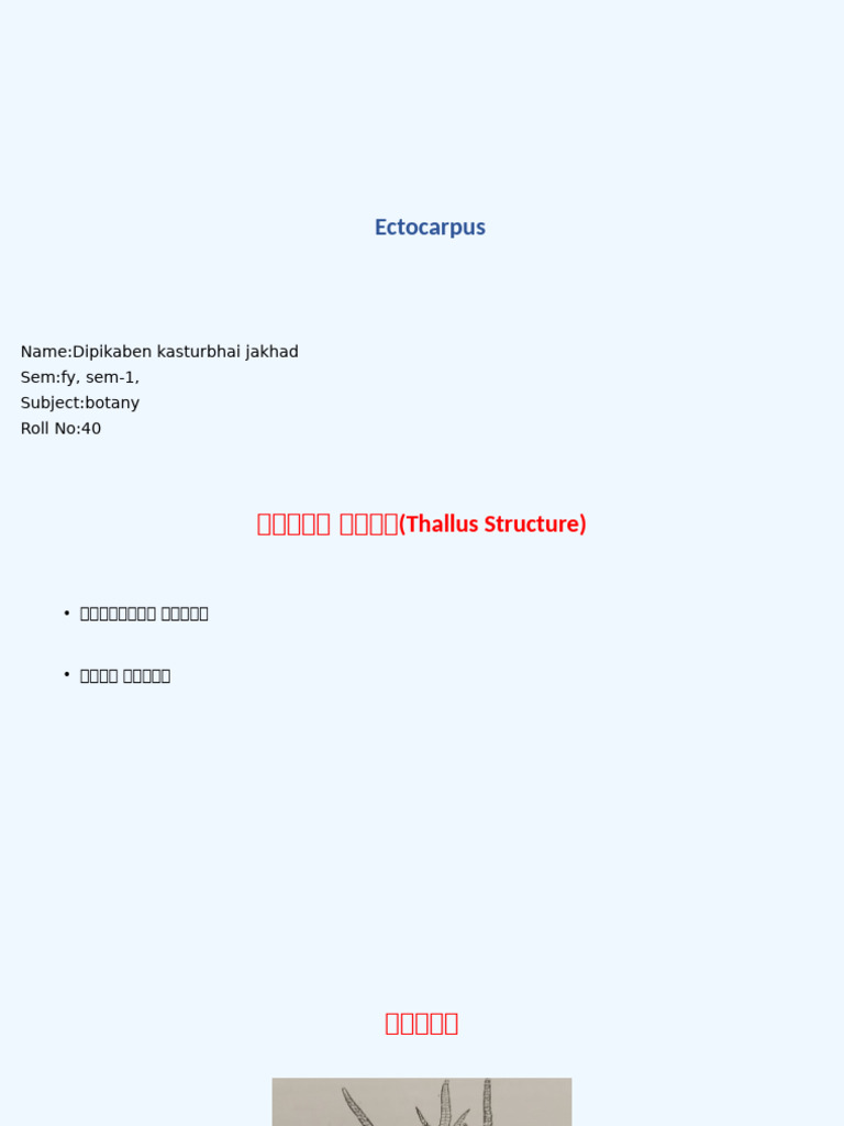 Ectocarpus Enhanced UI | PDF