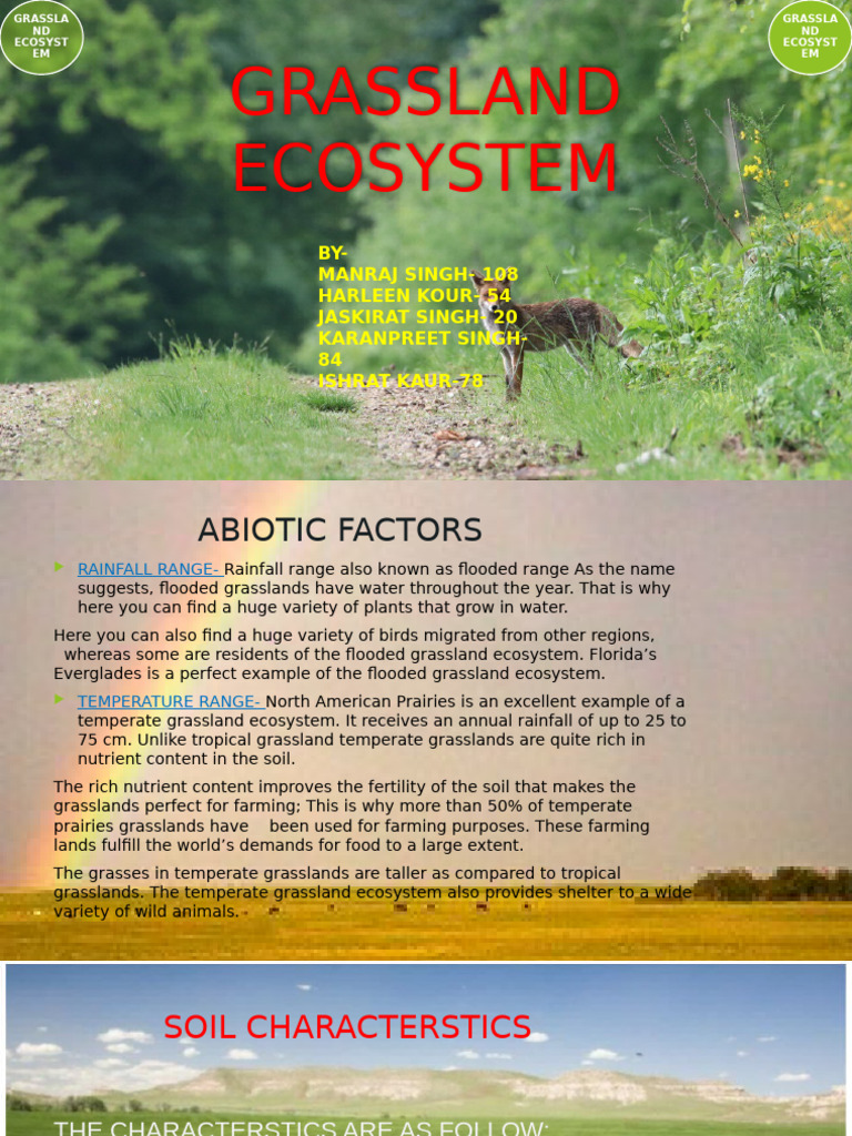 Grassland Ecosystem Insights | PDF | Grassland | Ecosystem