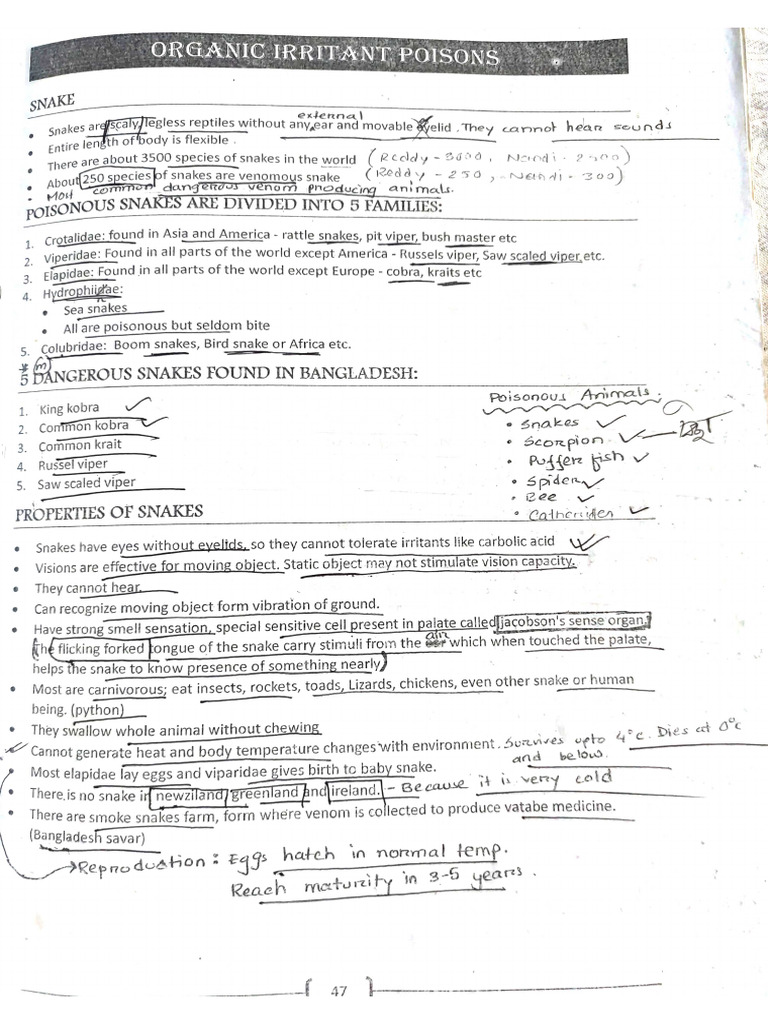 Poison Sheet 2 | PDF