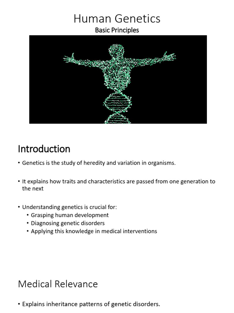 Genetics Fundamentals | PDF | Dominance (Genetics) | Gene