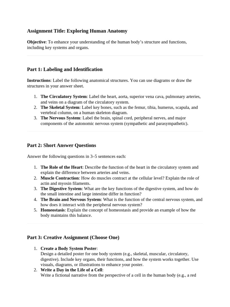 anatomy Assignment | PDF | Human Body | Nervous System