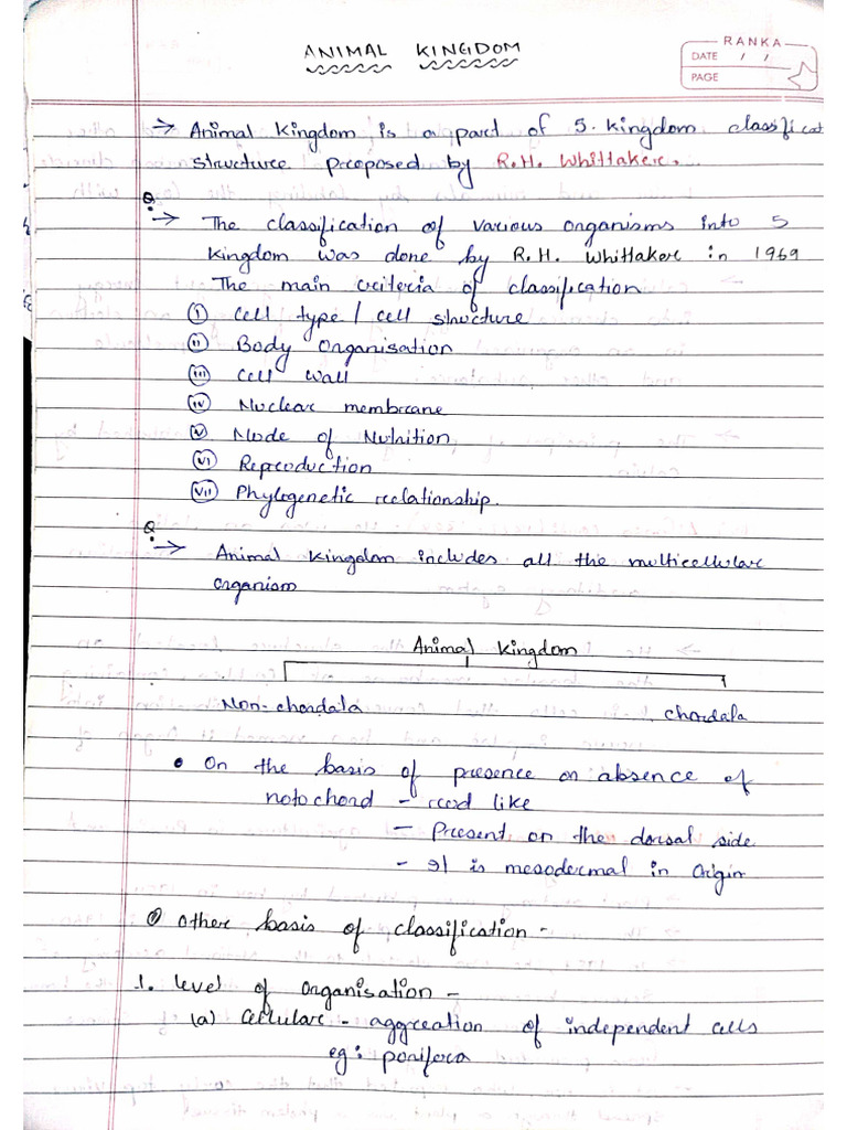 Animal Kingdom Notes For Neet | PDF