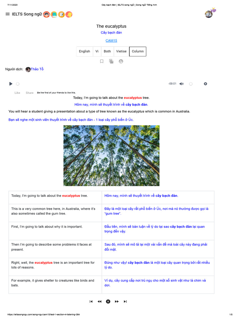 Test 1 Part 4 The Eucalyptus Co | PDF