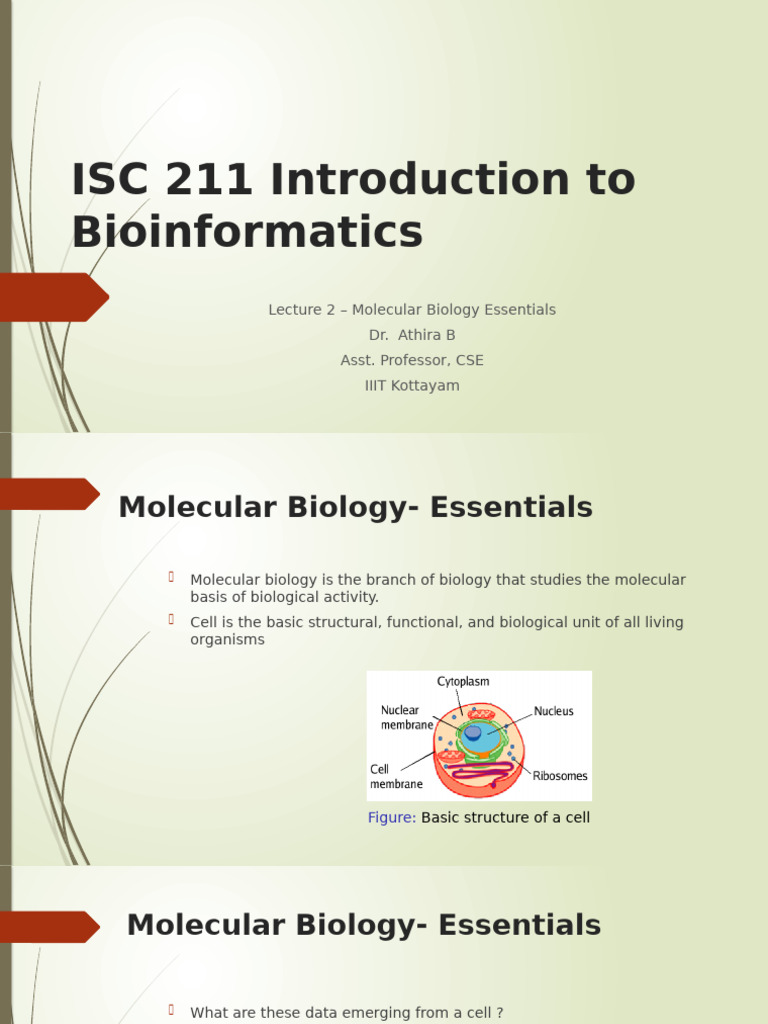Lecture 2-Molecular Biology | PDF | Dna | Gene
