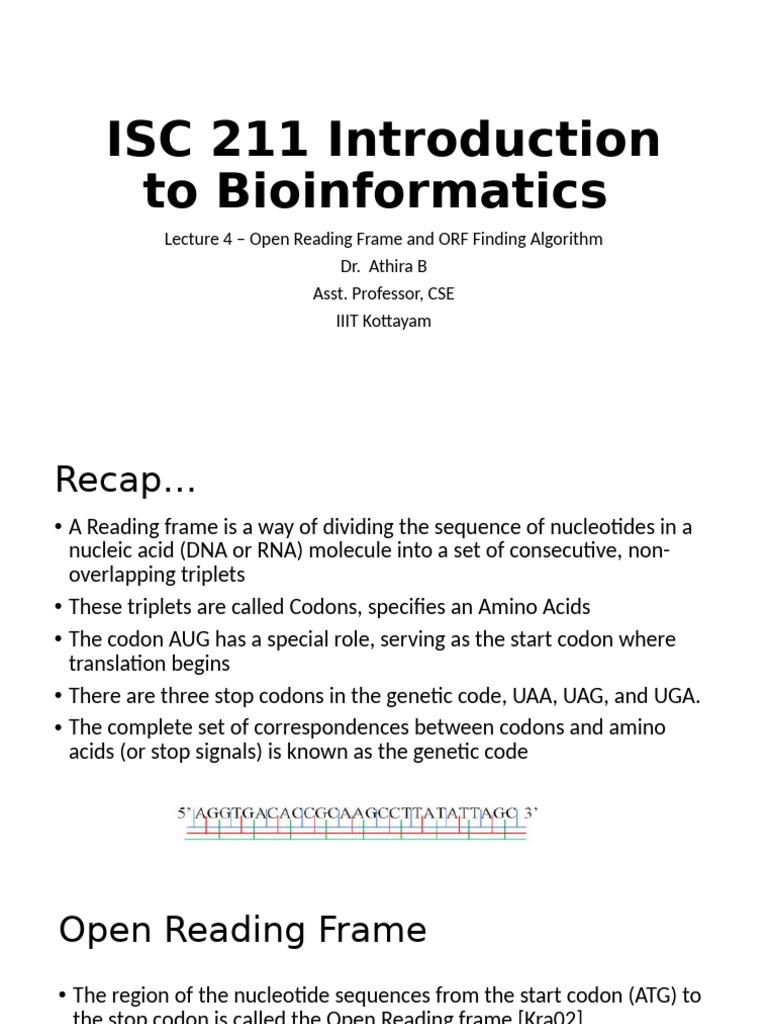 Lecture 4 - Open Reading Frame | PDF | Open Reading Frame | Genetic Code