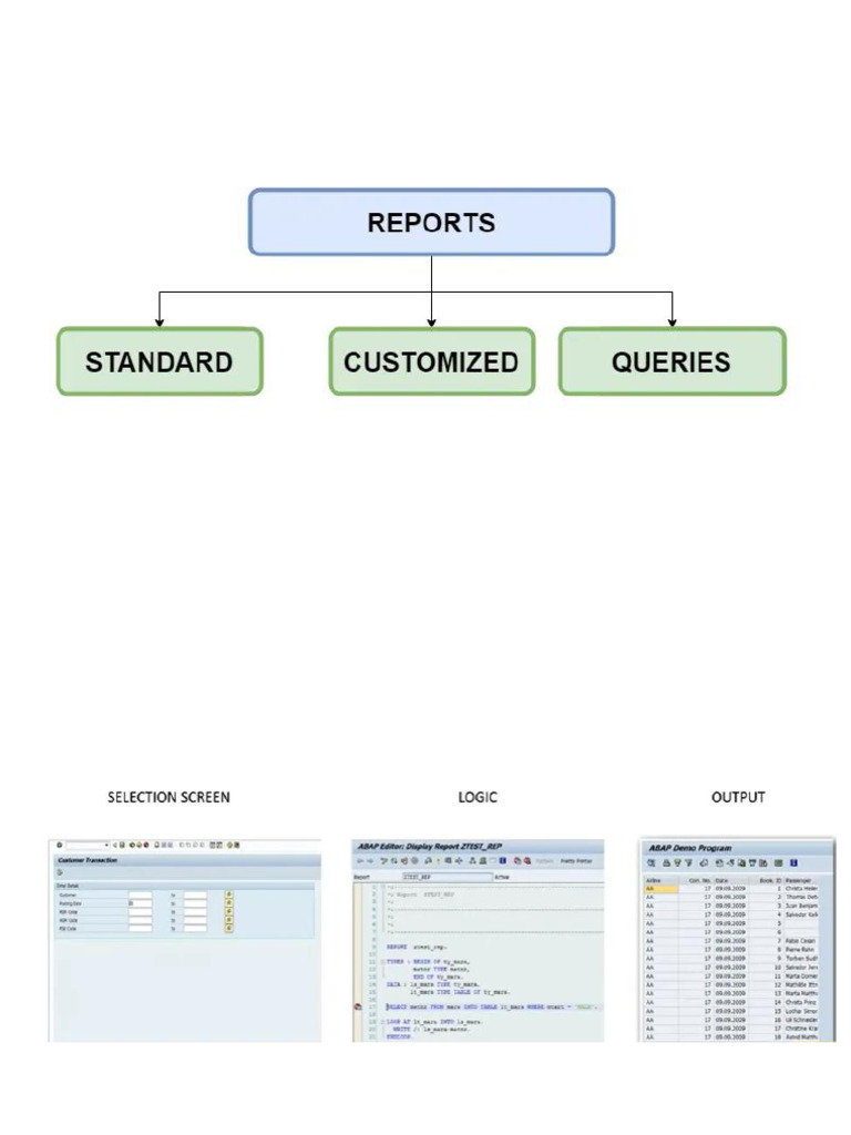 RICEFW in SAP 1734839710 | PDF