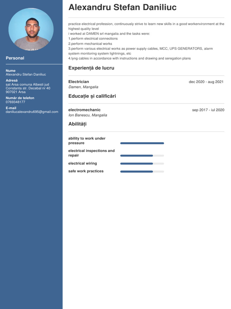 CV Alexandru Stefan Daniliuc #1 (1) | PDF