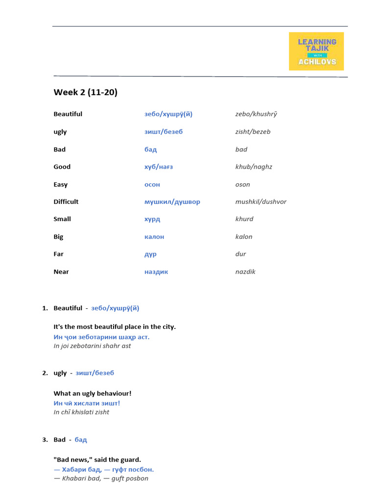 Week 2 (11-20) | PDF