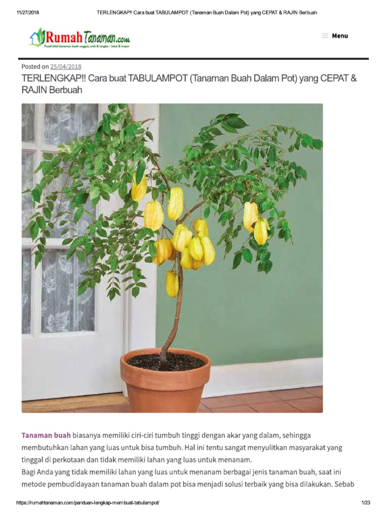 TERLENGKAP!! Cara buat TABULAMPOT (Tana.. | PDF