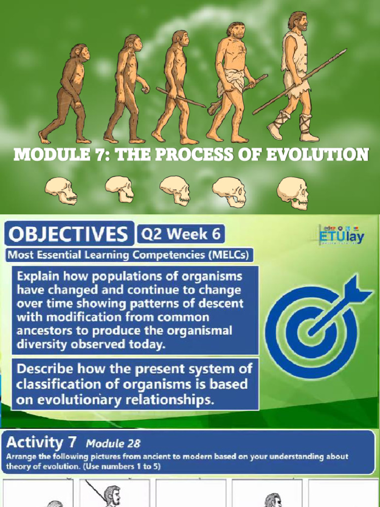 Module 7 The Process of Evolution | PDF