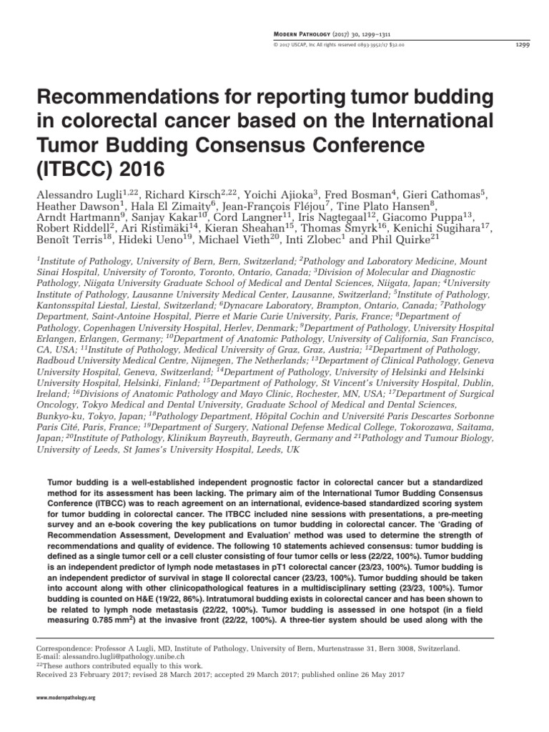 Tumor Budding Consensus 2016 CCR | PDF | Colorectal Cancer | Cancer