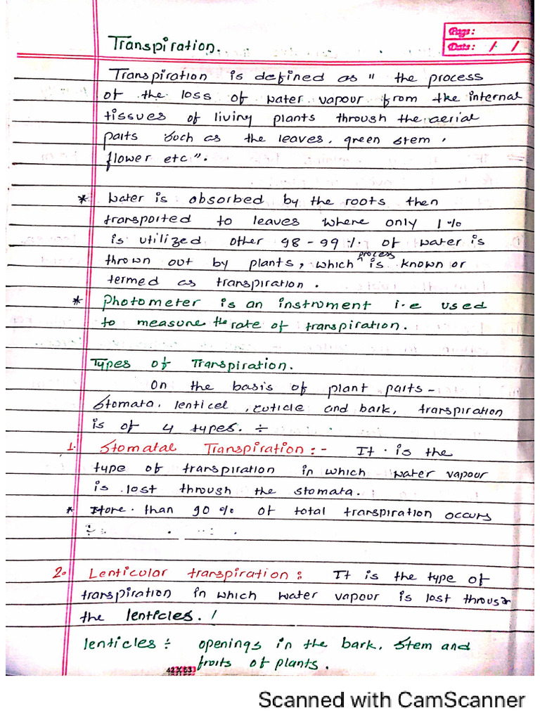 Transpiration and Guttation | PDF