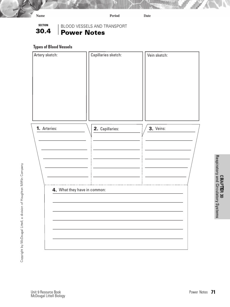 hssb3004t Powernotes | PDF