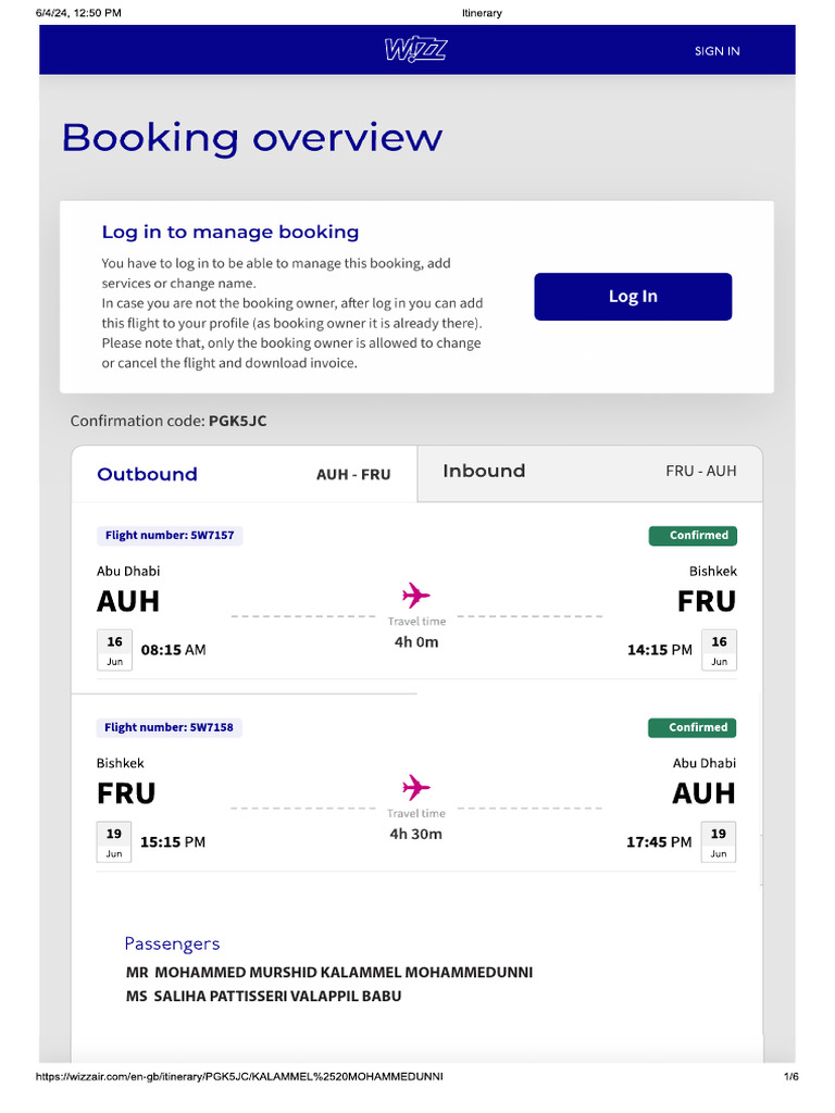 Wizz Air Ticket | PDF