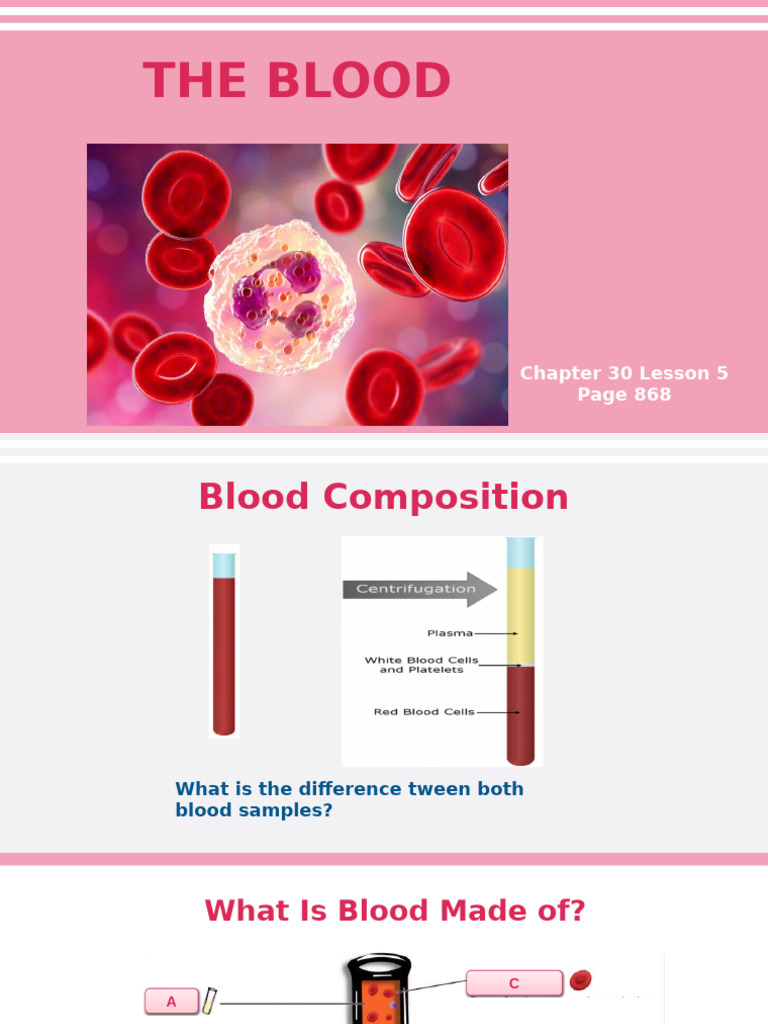 Blood Composition and Functions Explained | PDF | Blood | Red Blood Cell