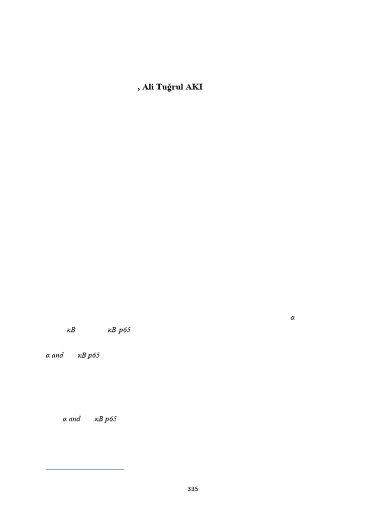 Investigation of The Effect of Chloroquine On Adriamycin-Induced Kidney ...