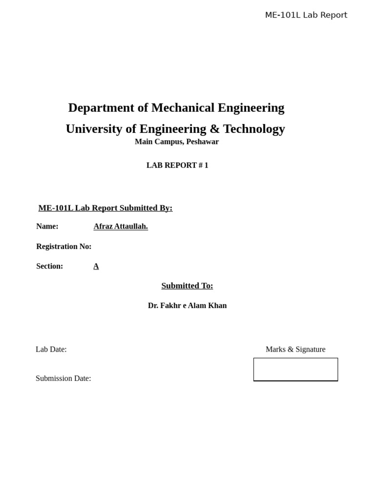 Sample Programming Lab Report | PDF